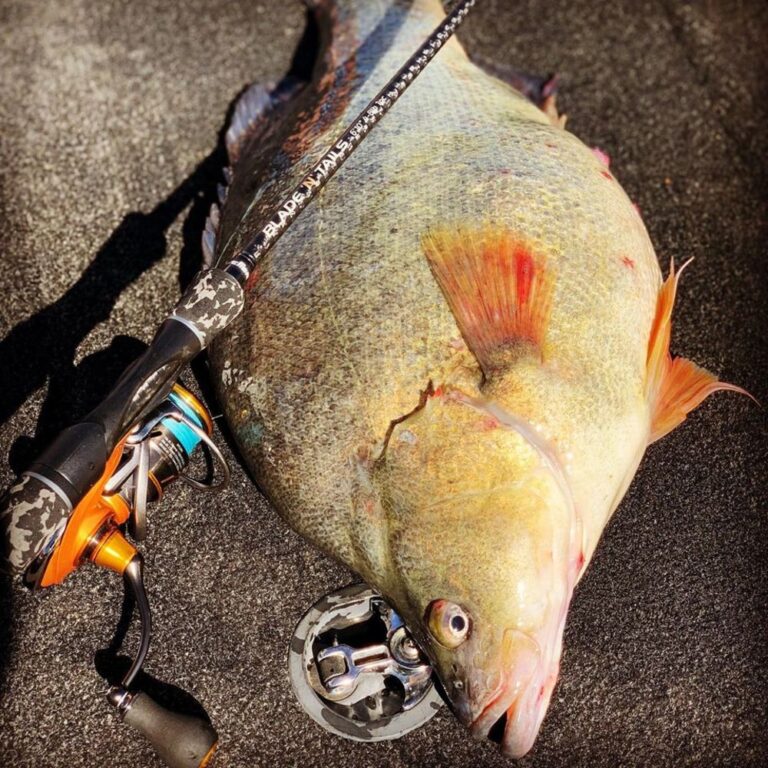 Wilson Blade'N'Tails Rods - Outback Angler